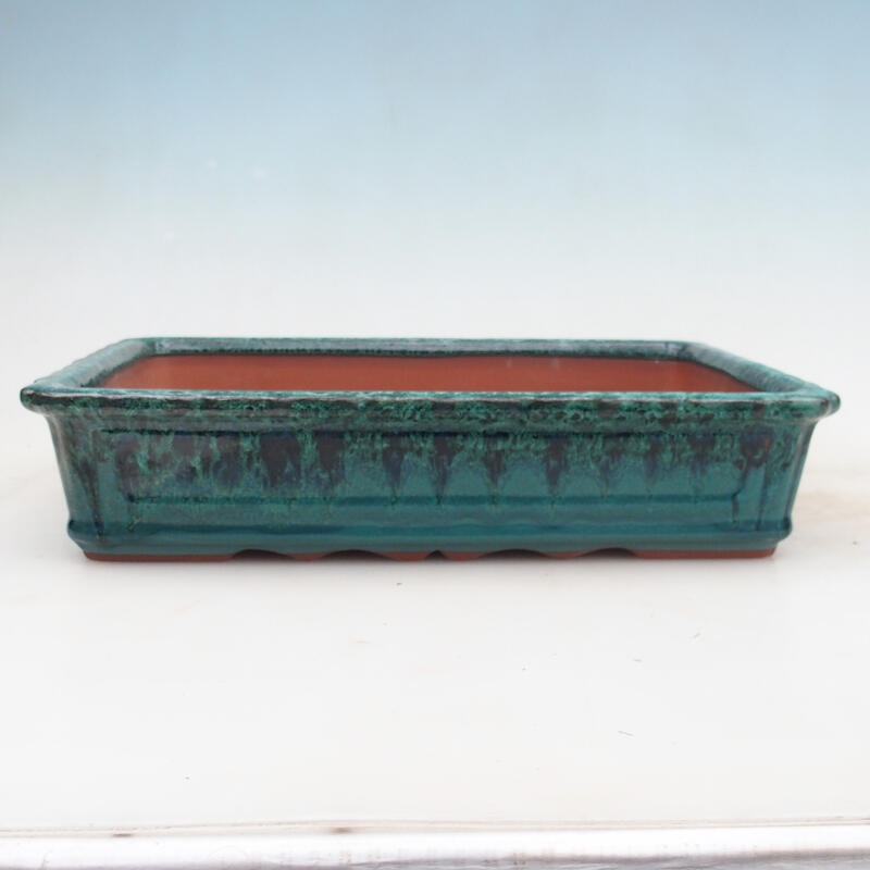 Bonsai bowl 32 x 23 x 7 cm, color green - e-bonsai.com